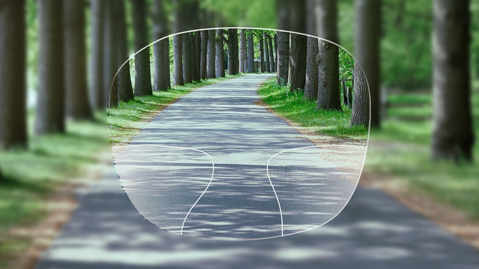 Endless Sport Progressive