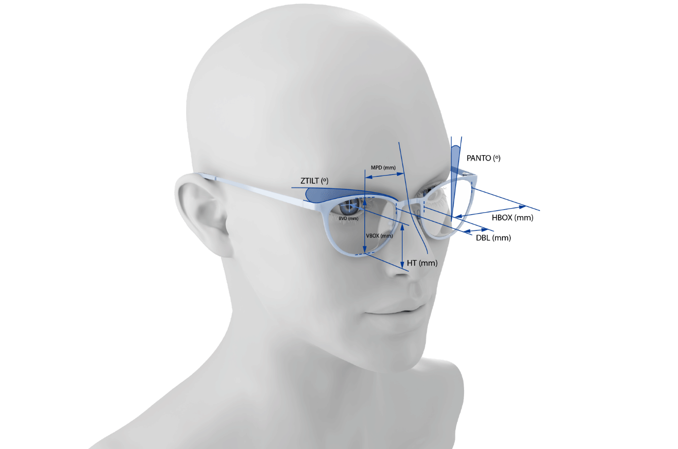 IOT Digital Ray Path 2 Technology
