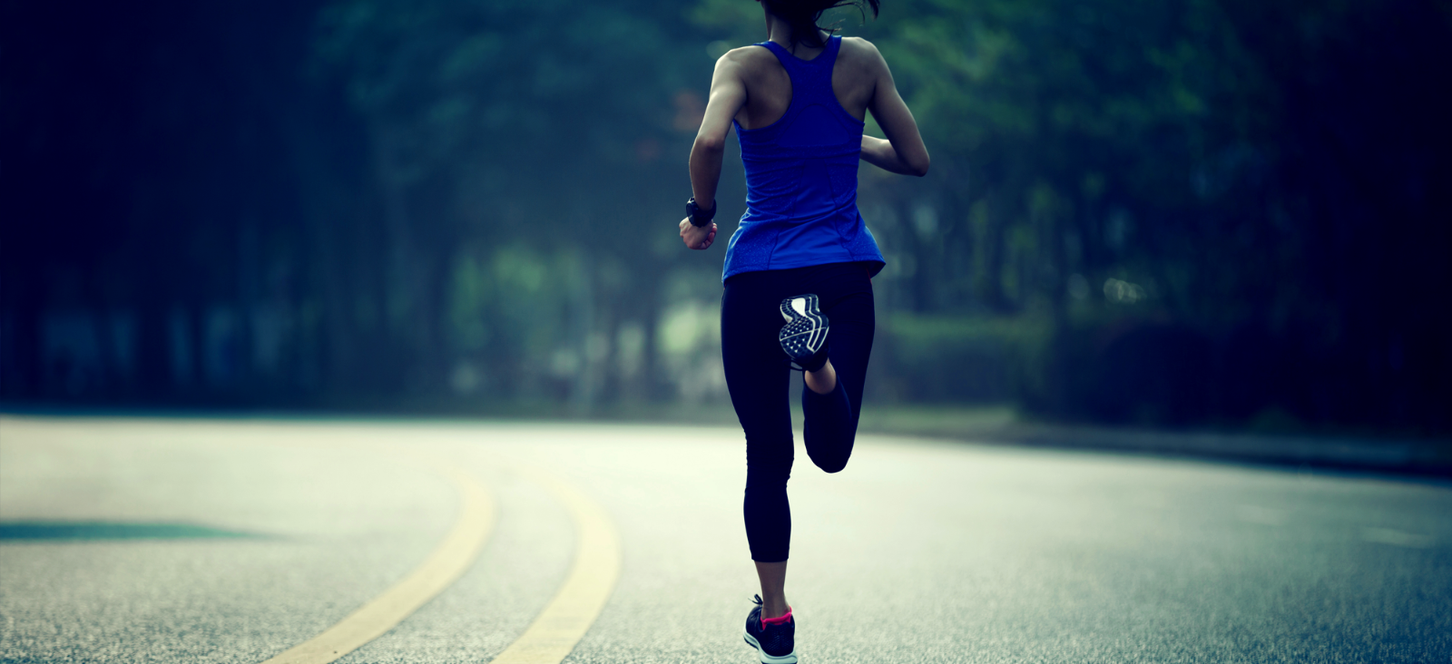 Endless Sport Progressive