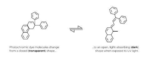 Neochromes Experience